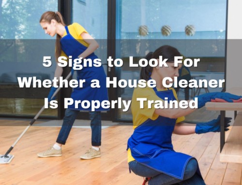 How to Remove Cobwebs and Keep Them Away - Buckets & Bows Maid Service