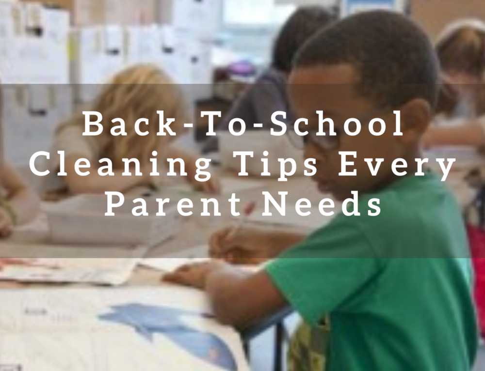 How to Remove Cobwebs and Keep Them Away - Buckets & Bows Maid Service